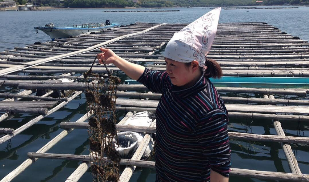 Japanese Akoya Pearl Farm // Ise Shima, Japan – OCEANA PEARLS