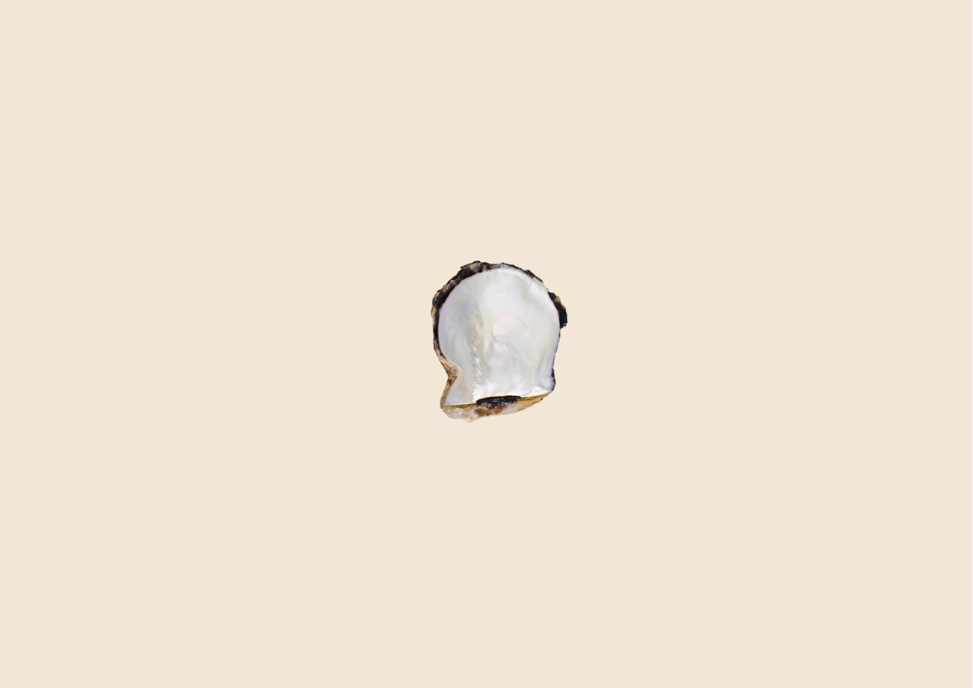 What is a Akoya Pearl? – OCEANA PEARLS